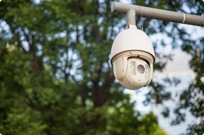 GV7 Insignia – GV7 Insignia